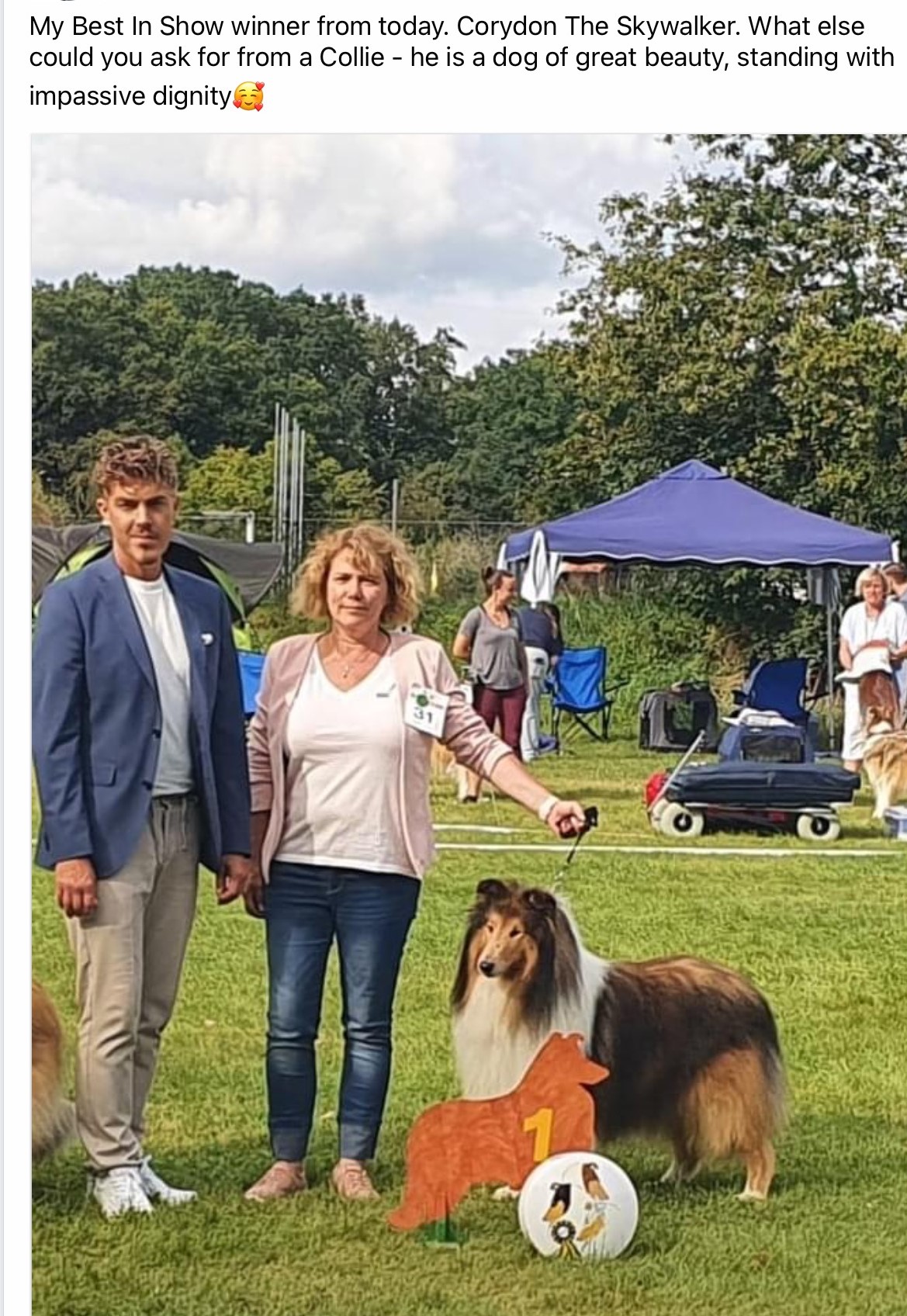 skywalker – Corydon Collies