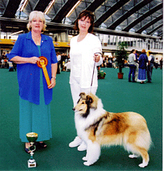 Over Seas Champions – Corydon Collies