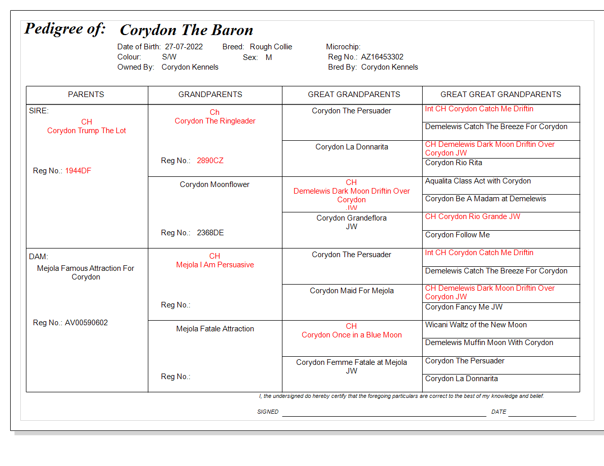 CORYDON THE BARON – Corydon Collies